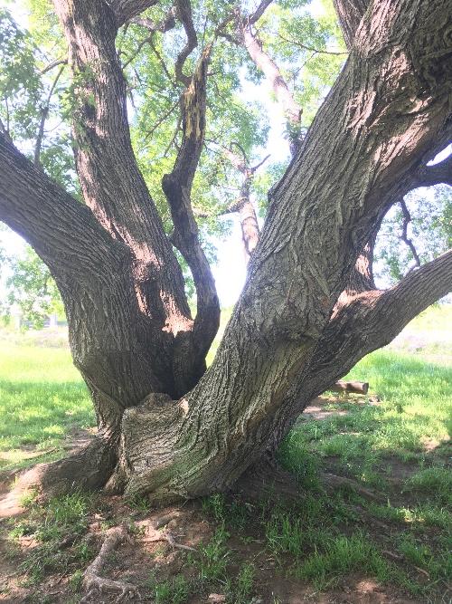 個別データ：環境省