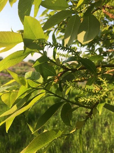 個別データ：環境省